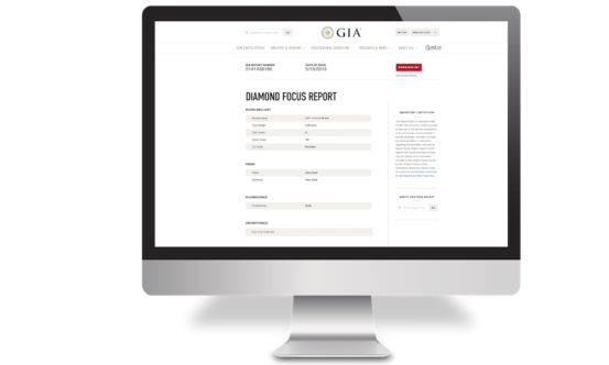 GIA launches digital Diamond Focus report - Rubel & Ménasché