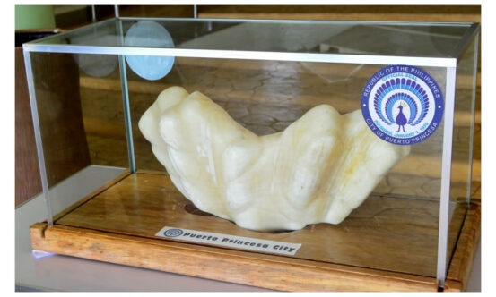 Is this the world’s largest pearl? - Rubel & Ménasché