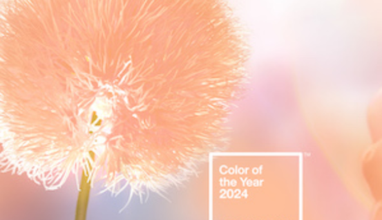 Pantone’s 2024 Color of the Year Is Just Peachy - Rubel & Ménasché